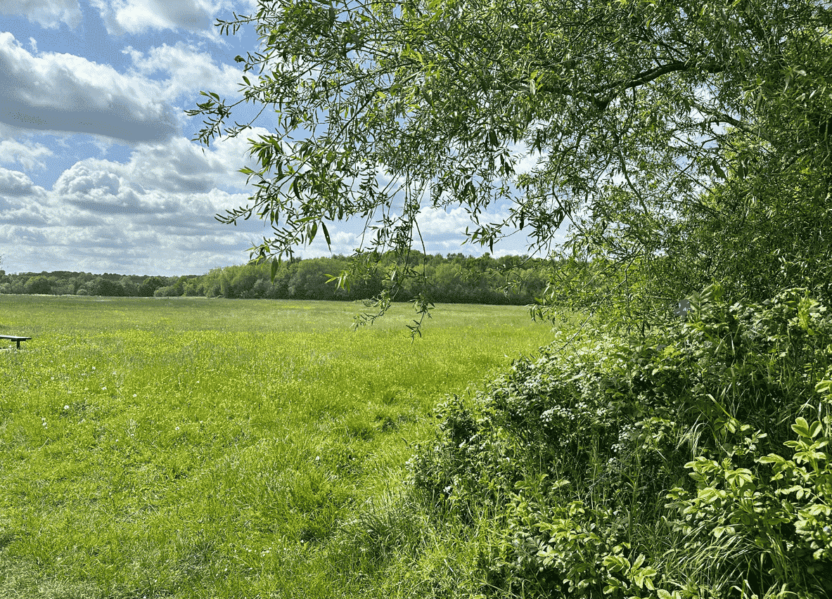 Go Jauntly App showcases walking trails across Nottingham - Transport ...