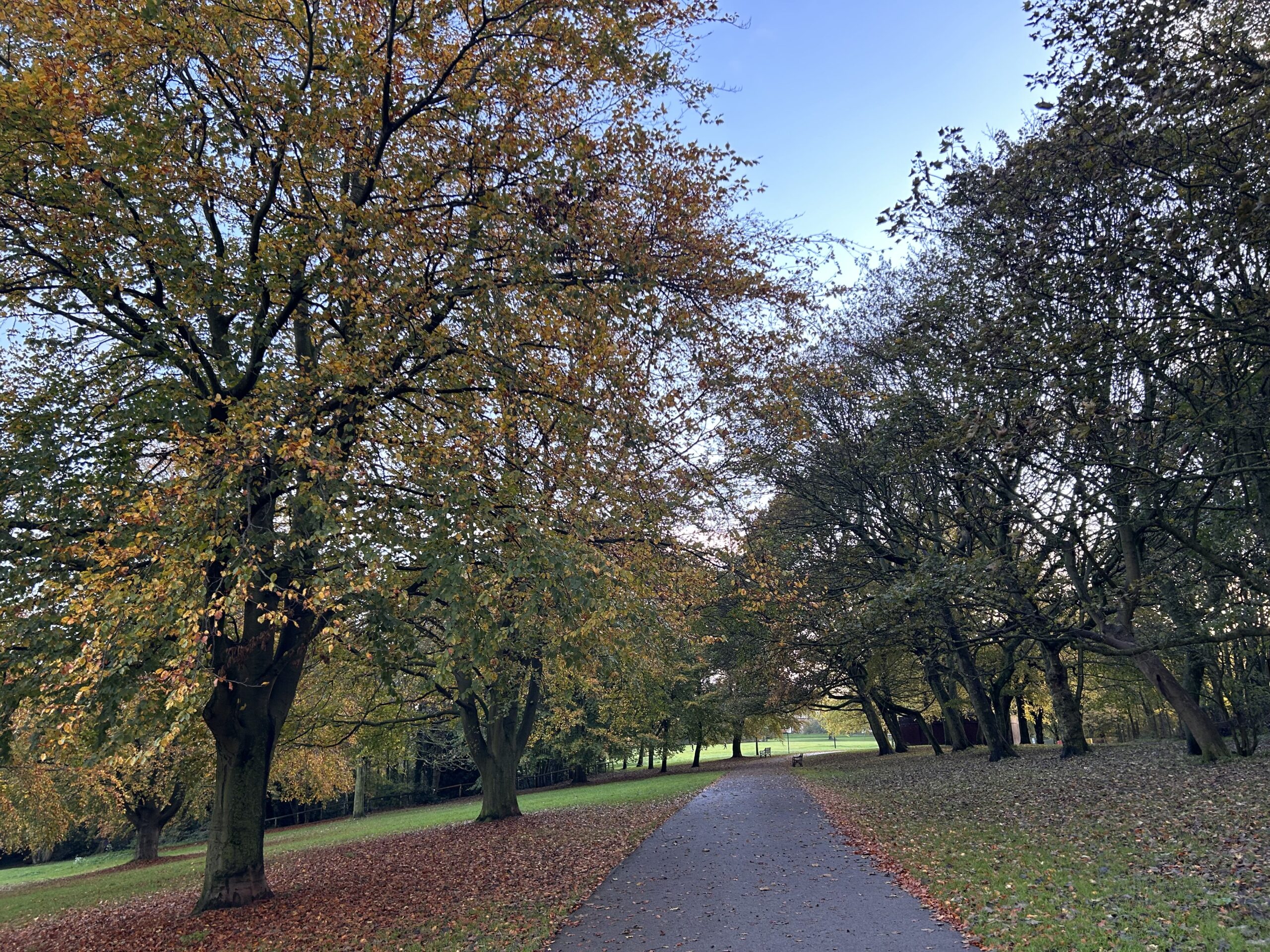 Woodthorpe Grange Park Improvements - Transport Nottingham